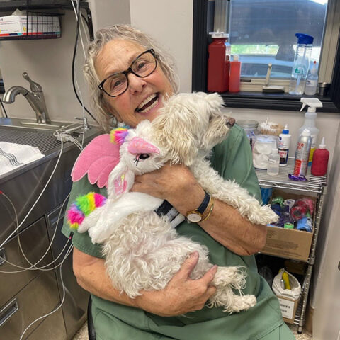 Best Veterinary Hospital In Edwards, CO 81632 | EagleVet